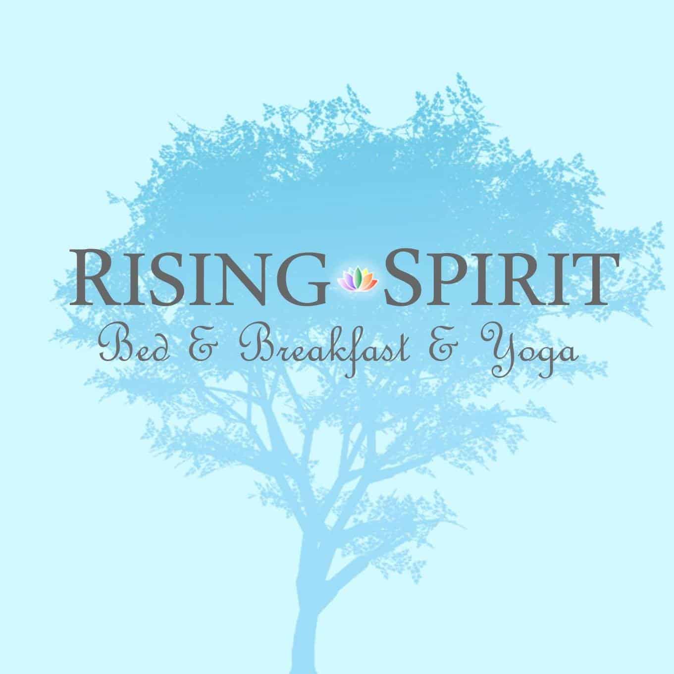 Rising spirit - Orono BIA